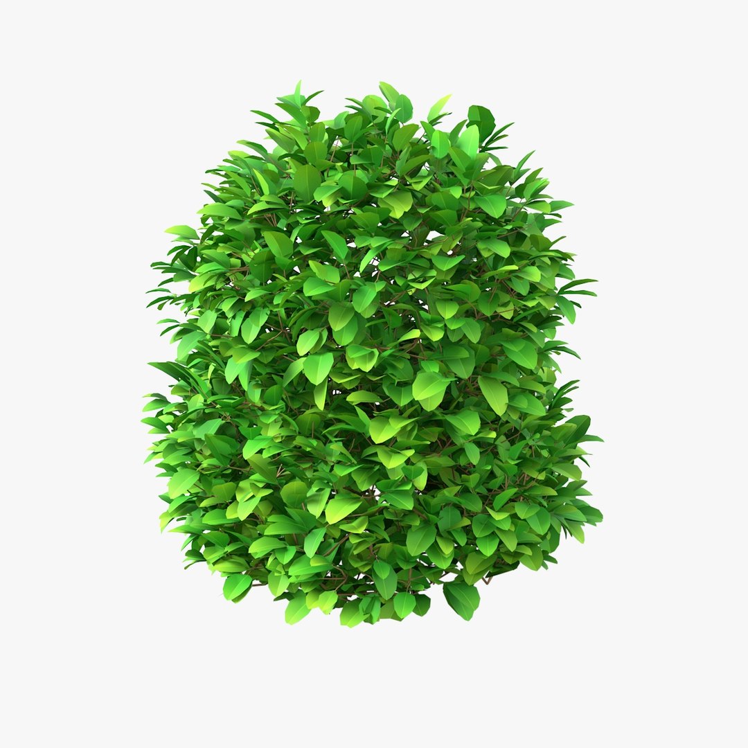 3D Cartoon Bush 12 model - TurboSquid 1941432