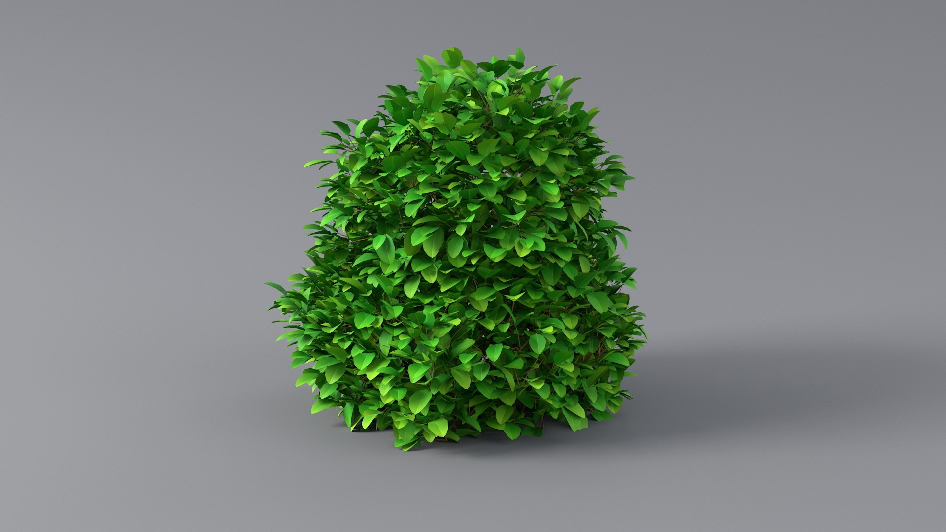 3D Cartoon Bush 12 Model - TurboSquid 1941432