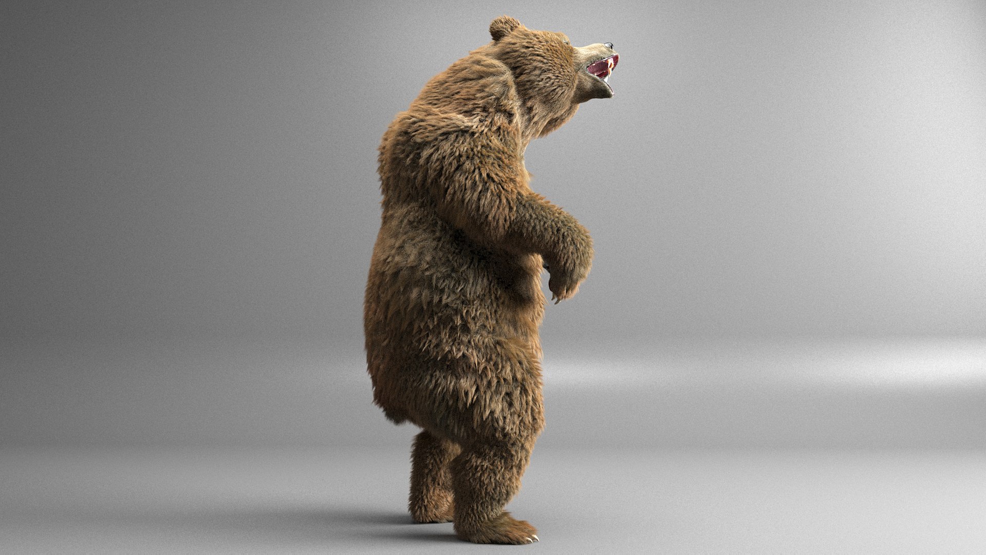 Brown Bear Pose Model - TurboSquid 1430523
