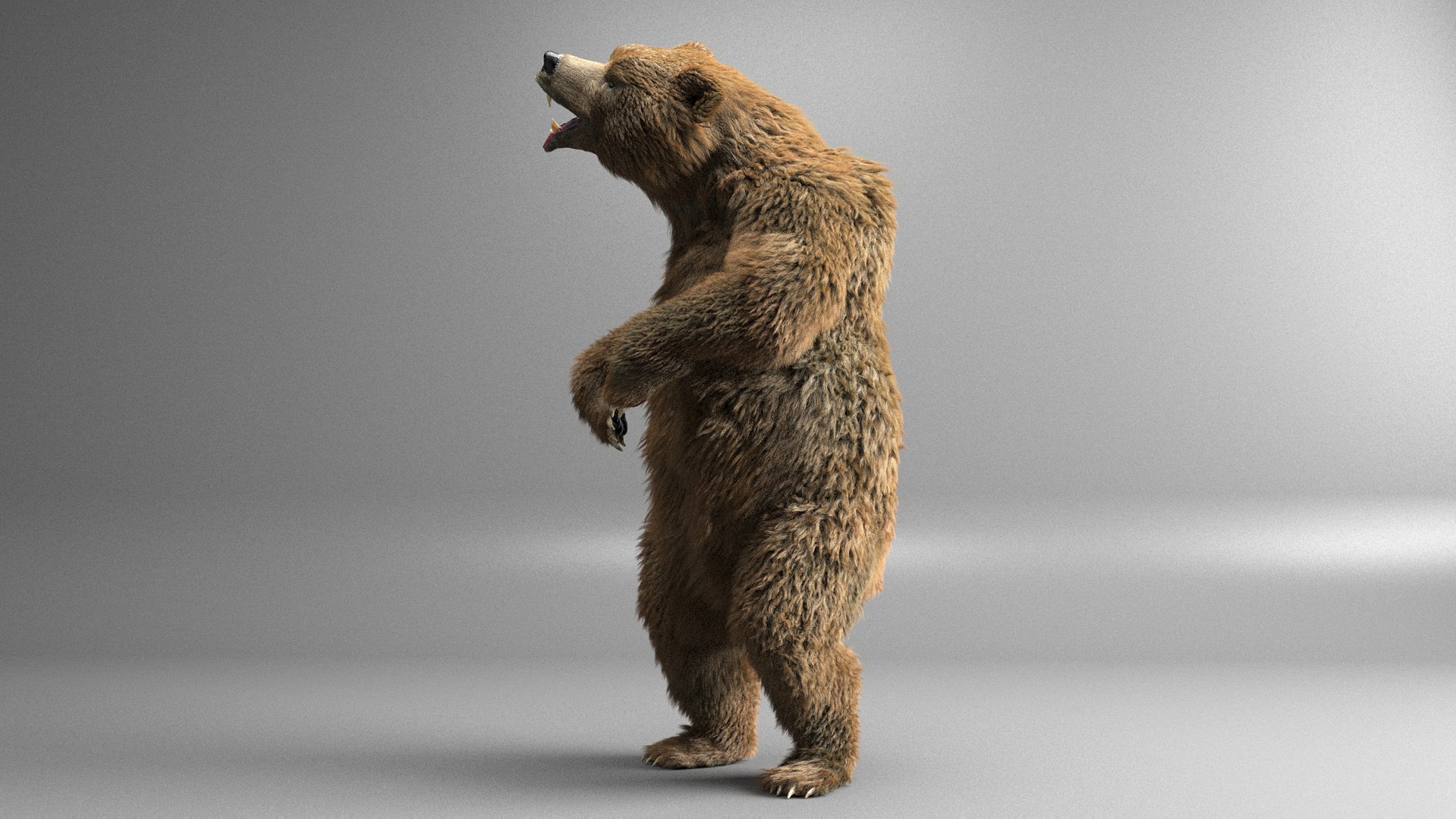 Brown Bear Pose Model - TurboSquid 1430523