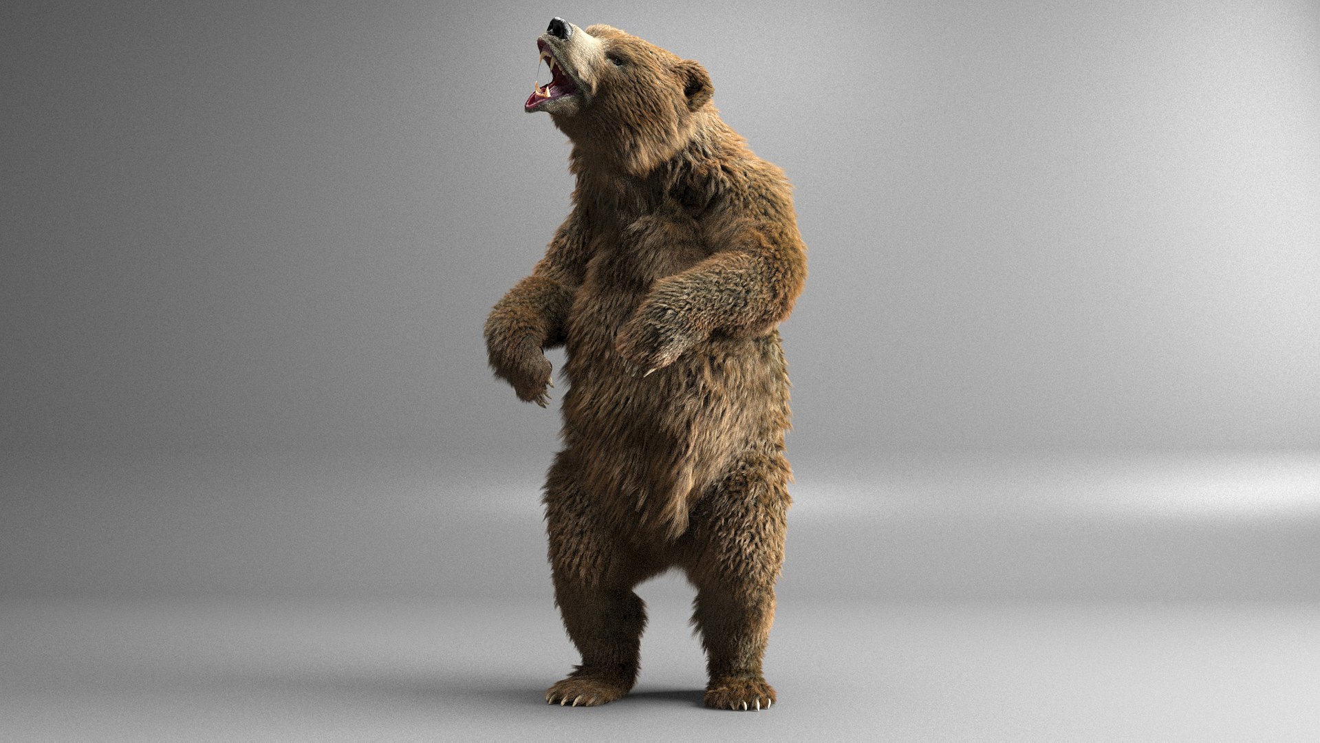Brown Bear Pose Model - TurboSquid 1430523