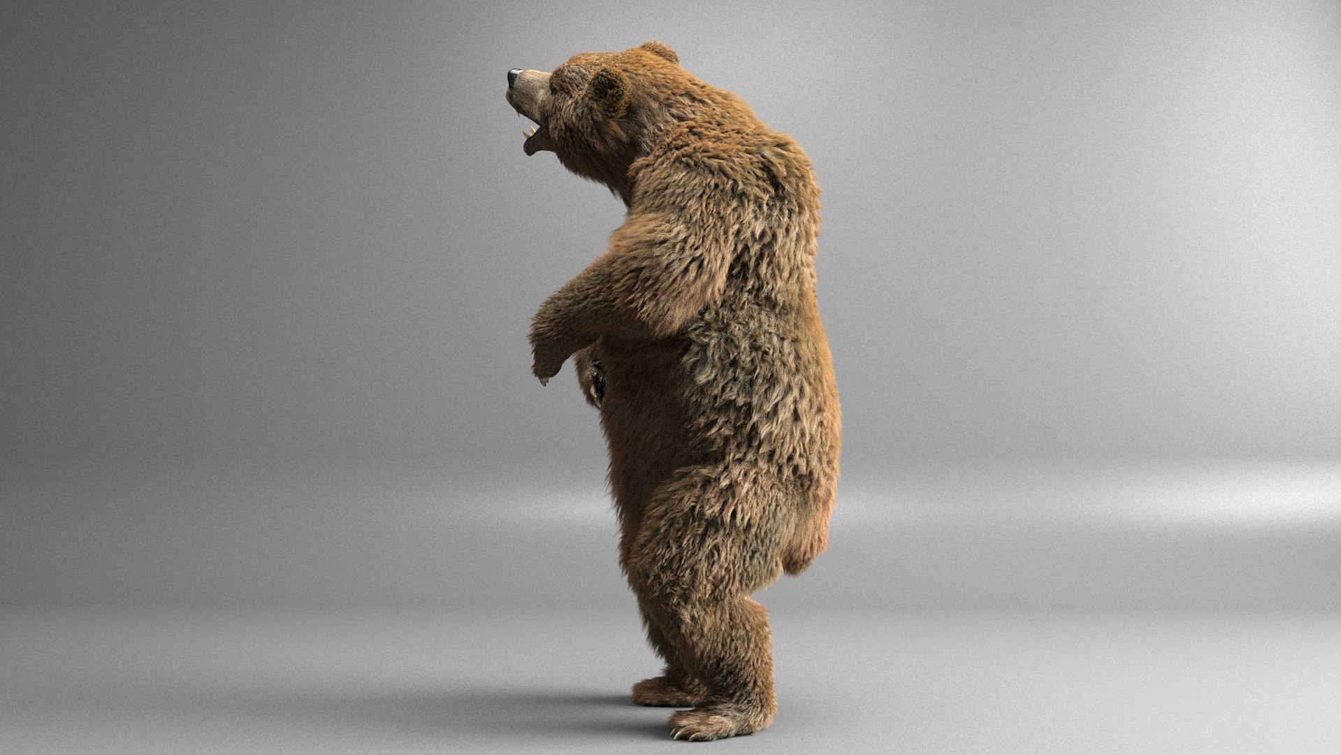 Brown Bear Pose Model - TurboSquid 1430523