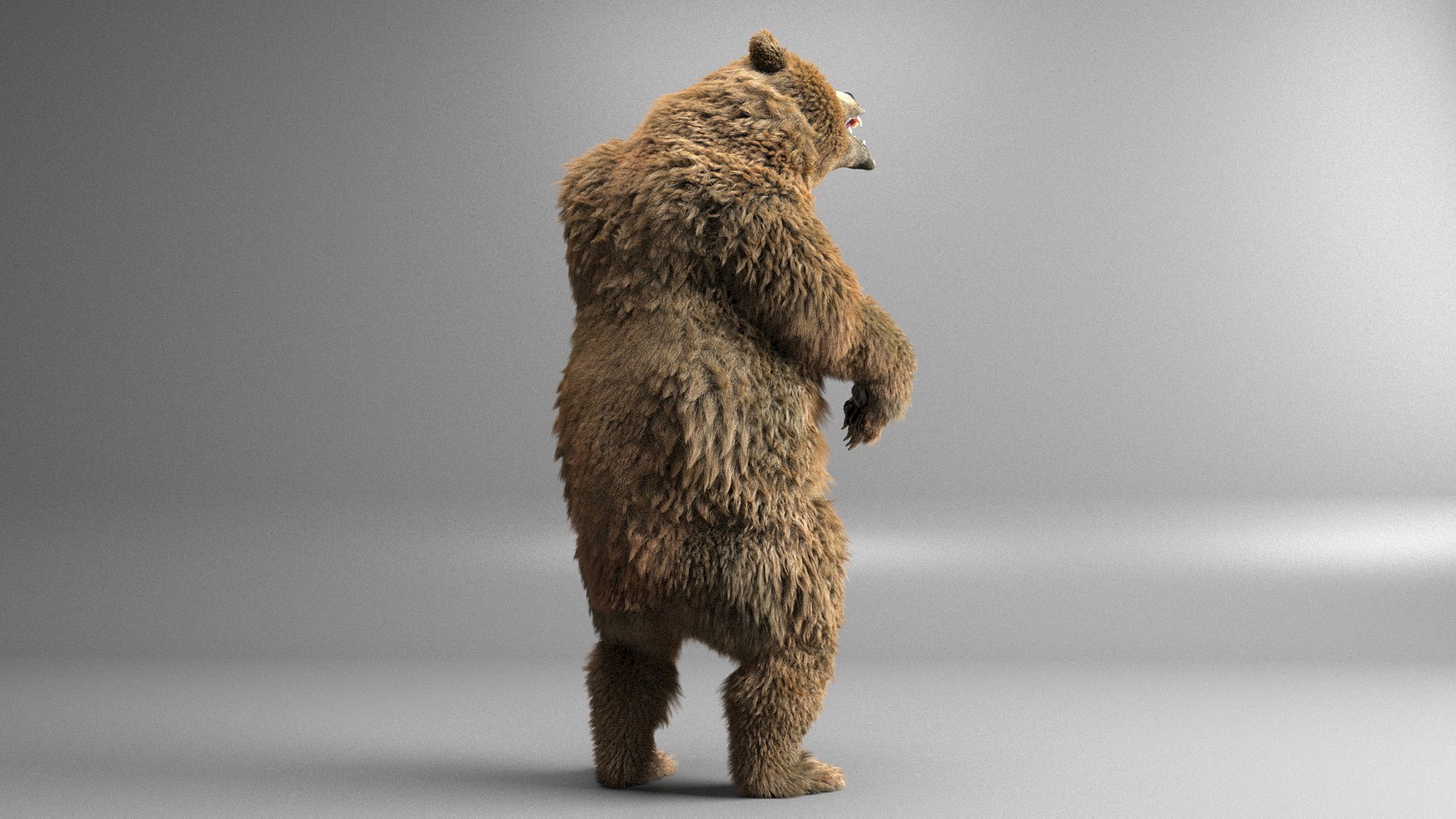 Brown Bear Pose Model - TurboSquid 1430523
