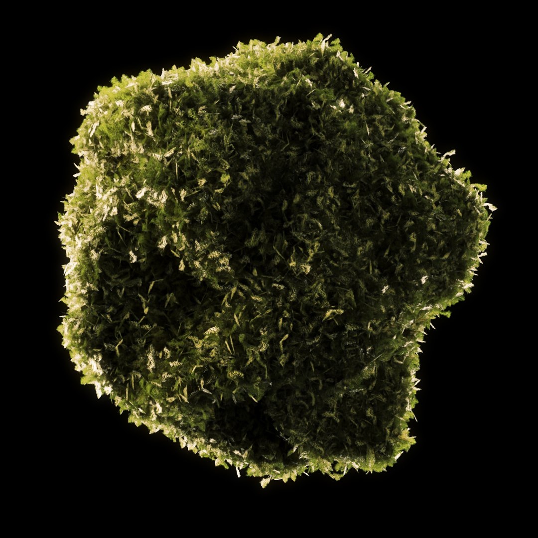 Moss 1 3D Model - TurboSquid 1534986