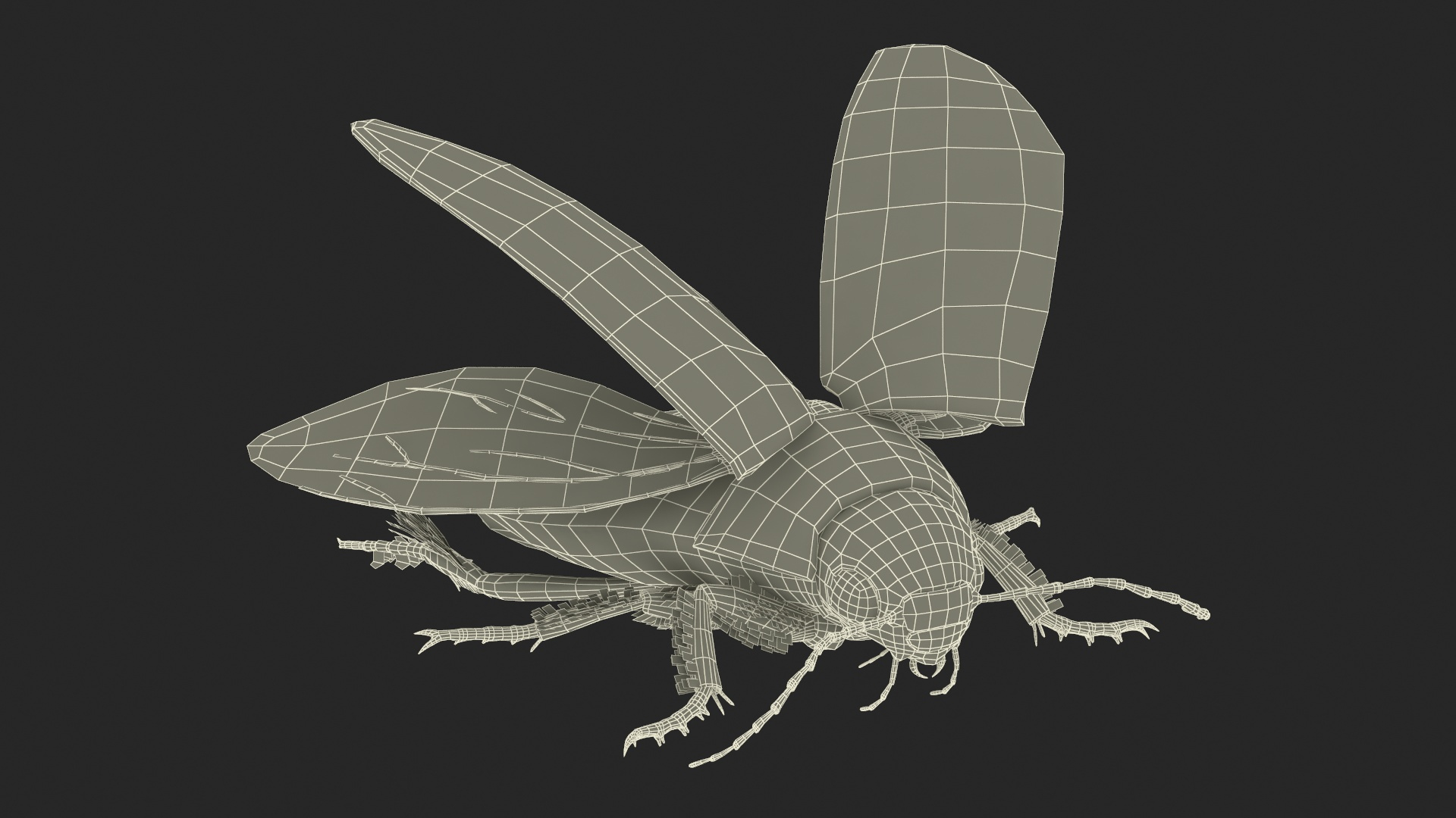 Aquatic Beetle Black Realistic Flying 3D Model - TurboSquid 2241931