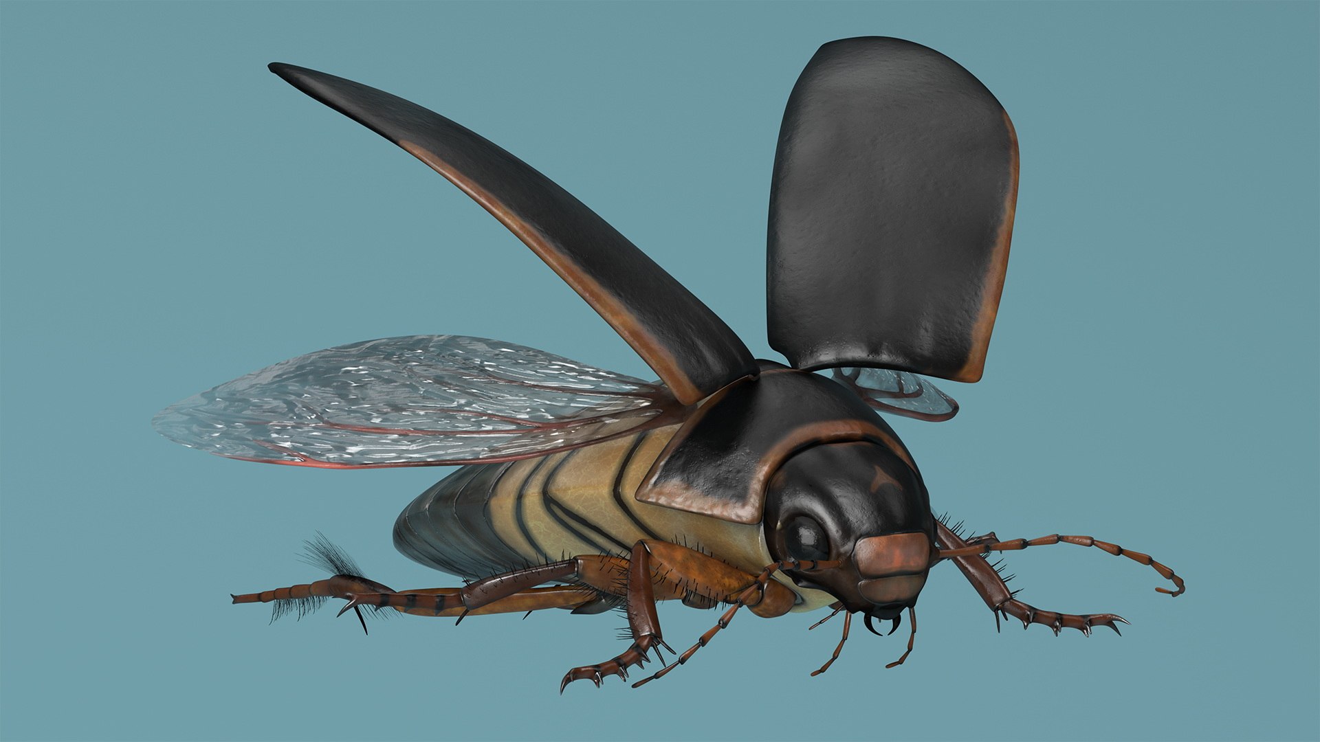 Aquatic Beetle Black Realistic Flying 3D Model - TurboSquid 2241931