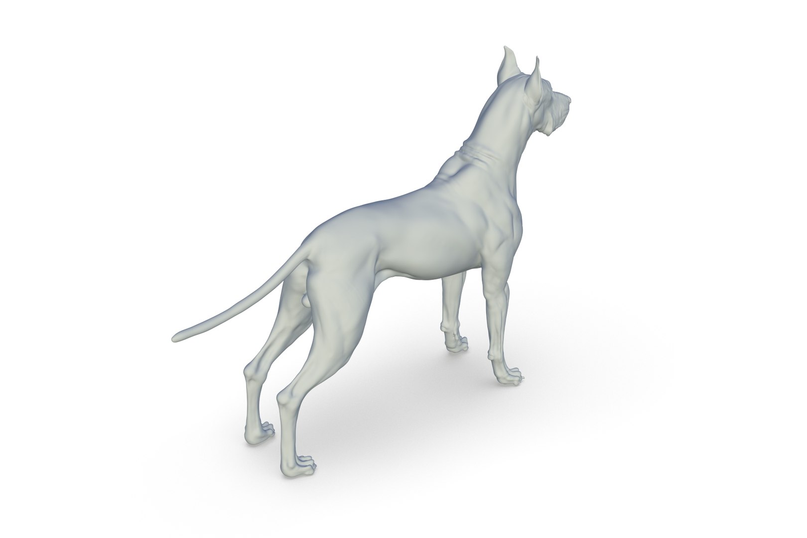 3D Model Great Dane - TurboSquid 2217262