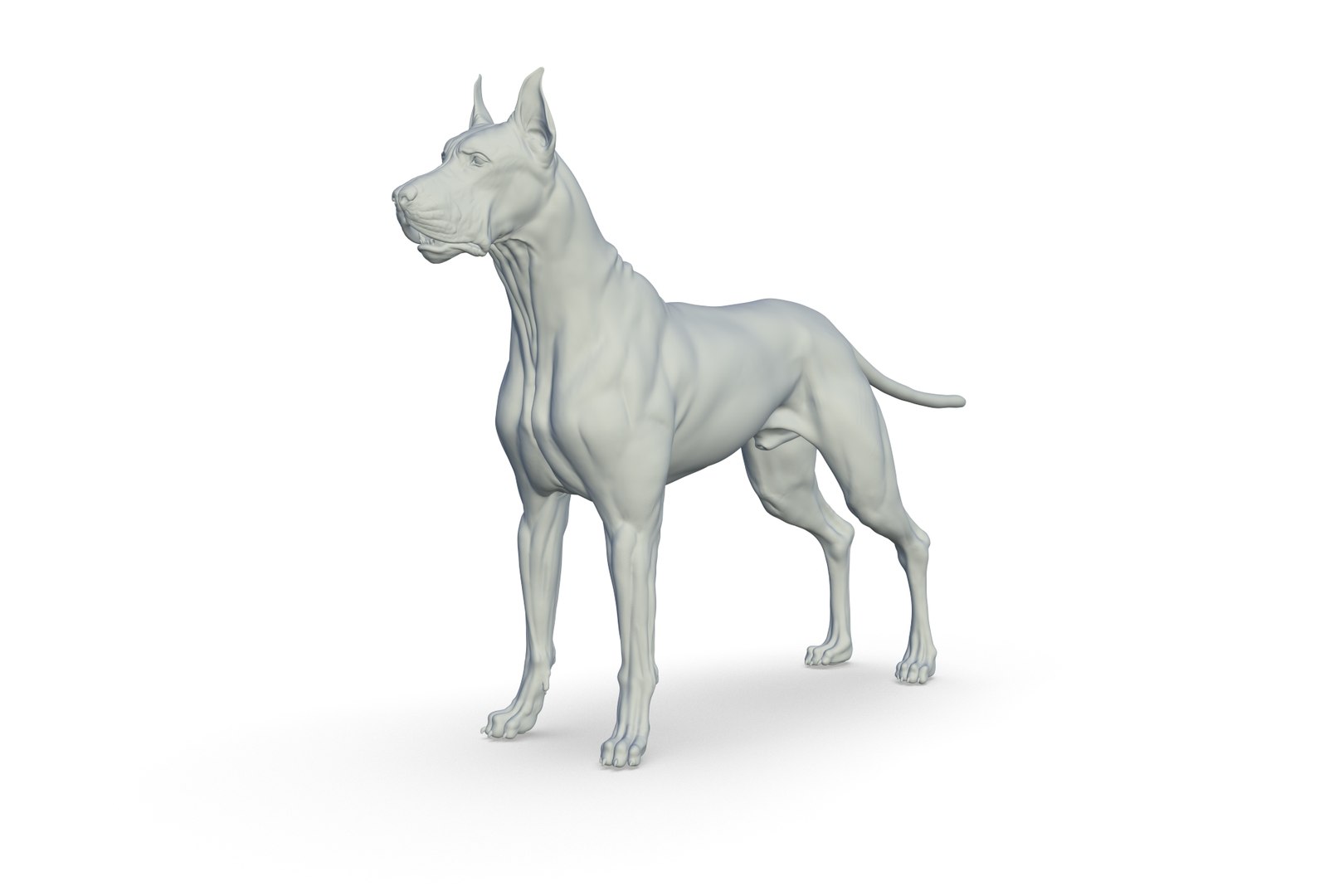 3D Model Great Dane - TurboSquid 2217262