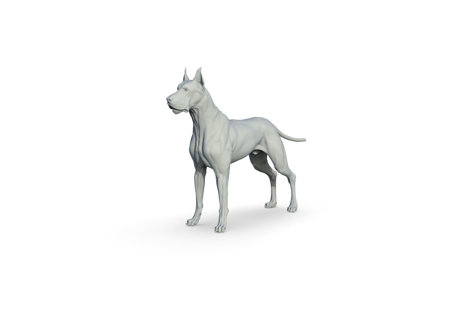 3D Model Great Dane - TurboSquid 2217262