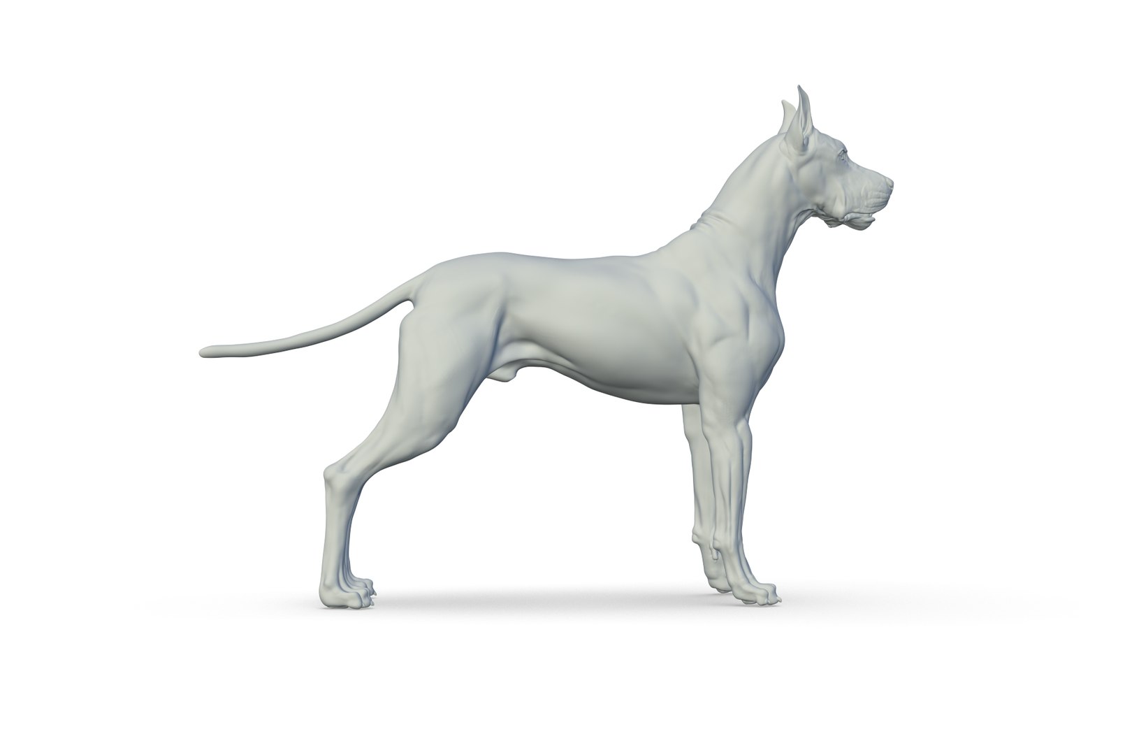 3D Model Great Dane - TurboSquid 2217262