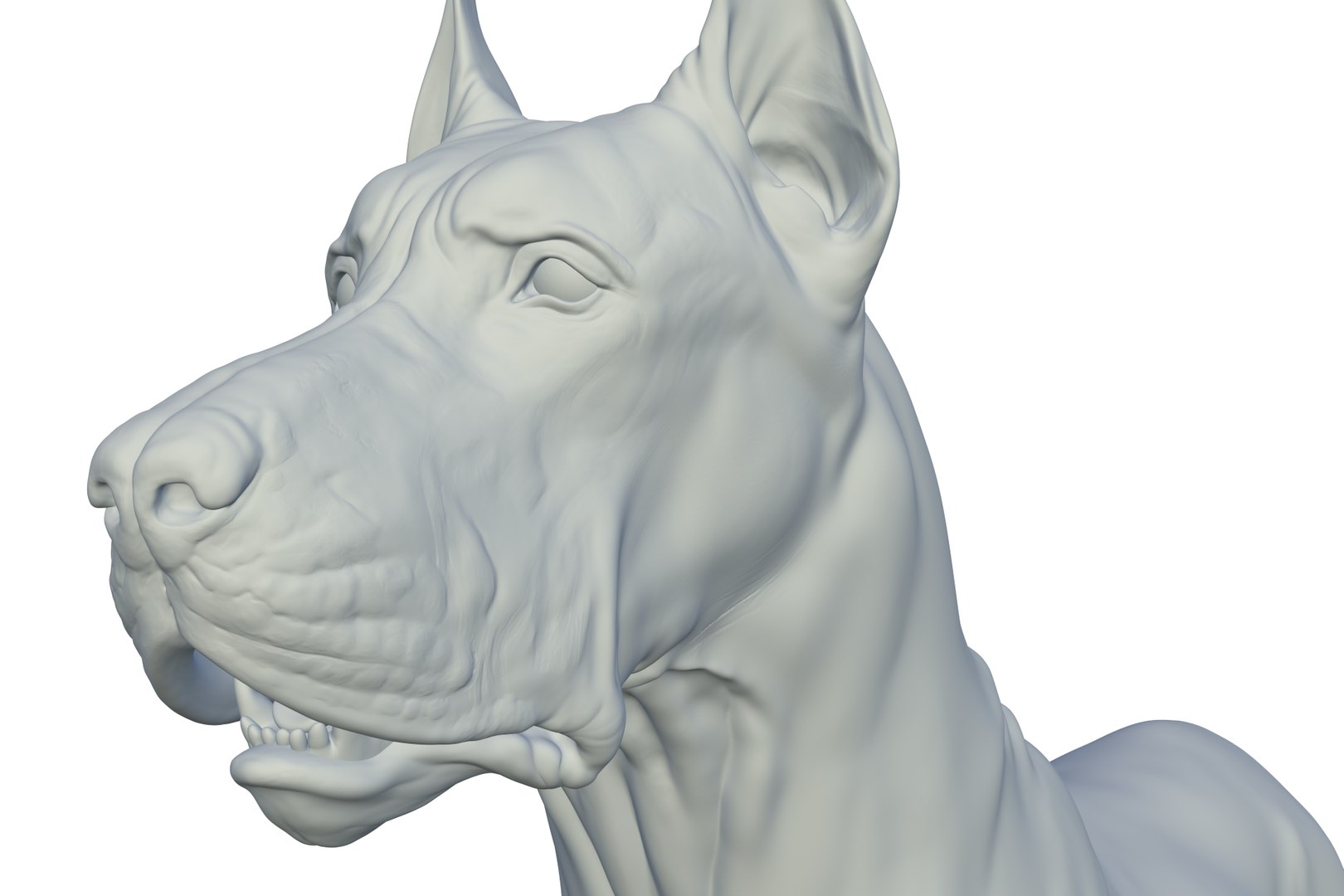 3D Model Great Dane - TurboSquid 2217262