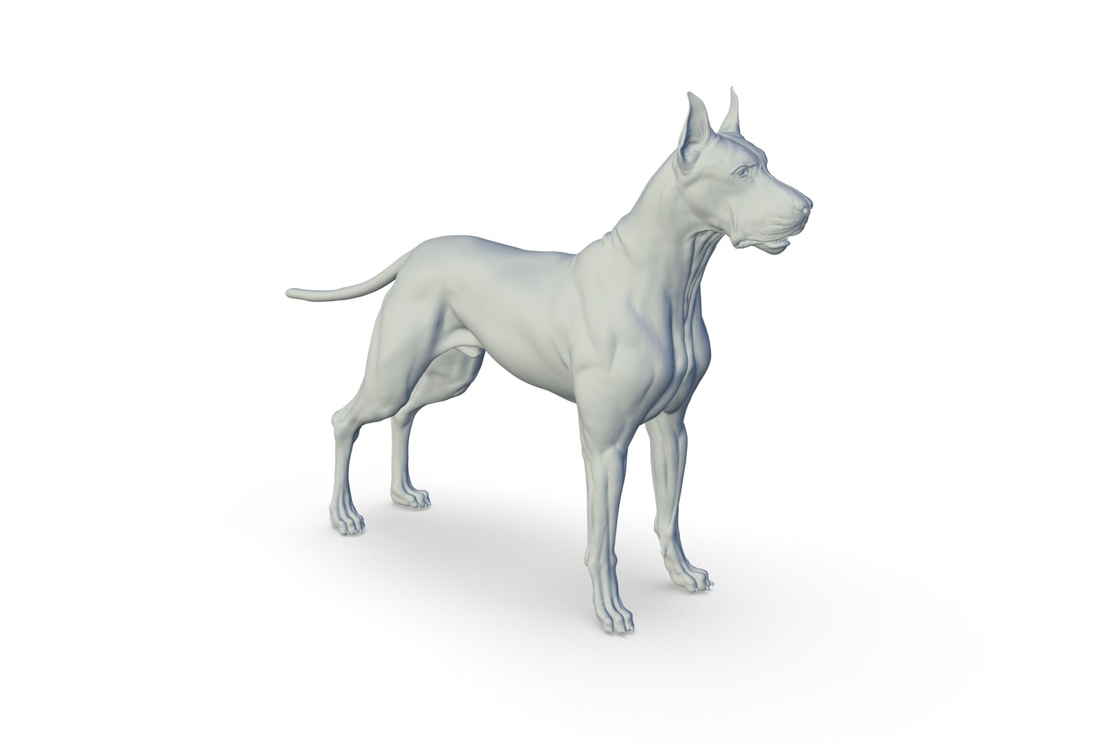 3D Model Great Dane - TurboSquid 2217262