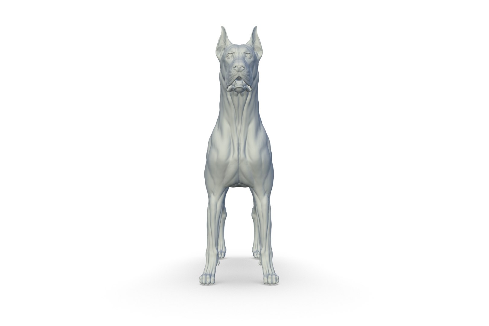 3D Model Great Dane - TurboSquid 2217262
