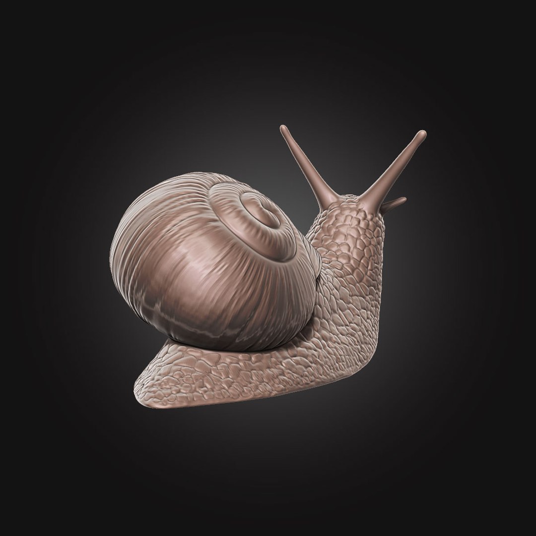 3D snail print model - TurboSquid 1386218