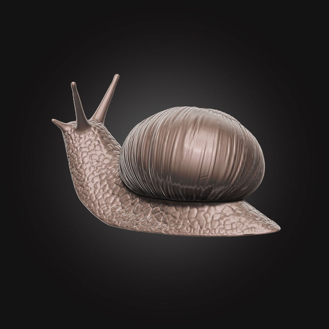 3D snail print model - TurboSquid 1386218