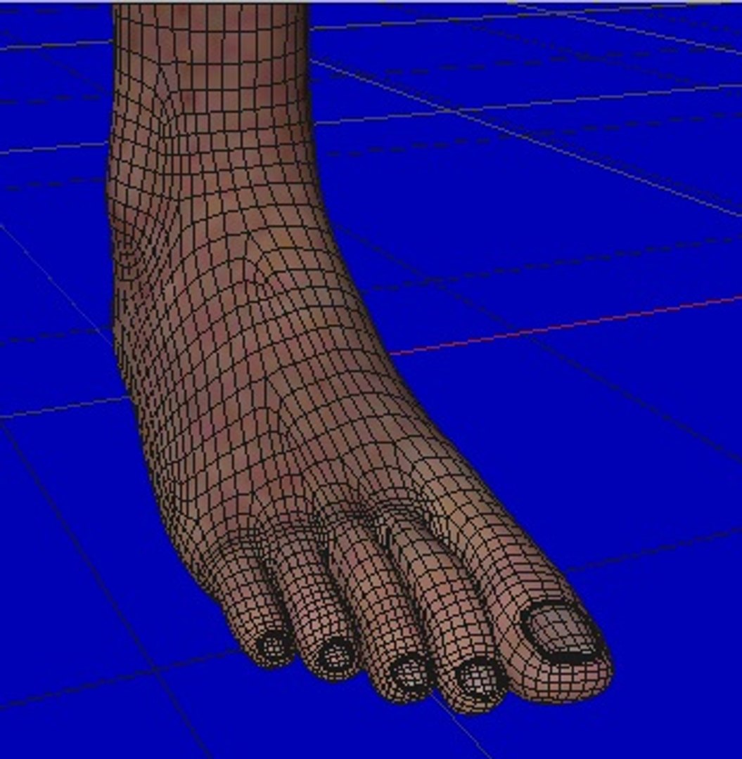Rigged Leg 3d C4d