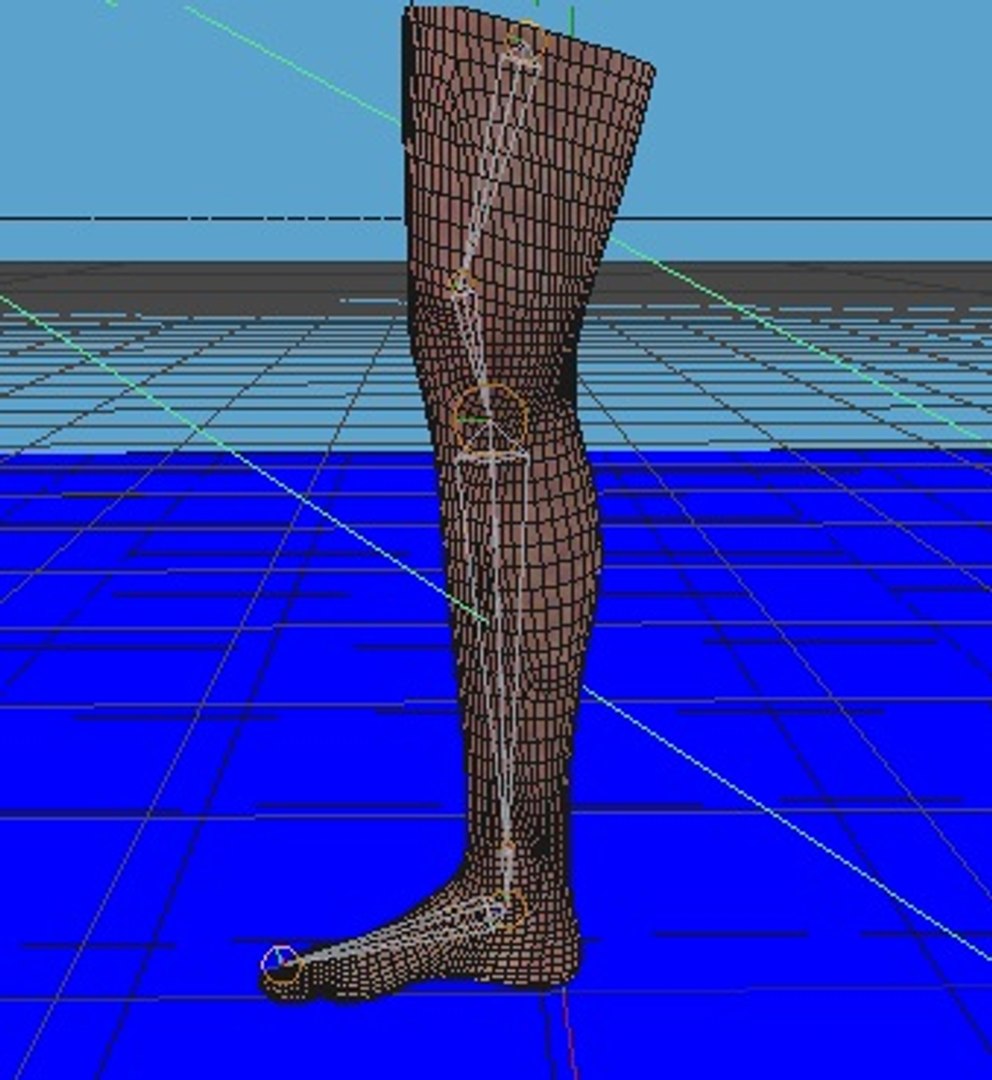 Rigged Leg 3d C4d