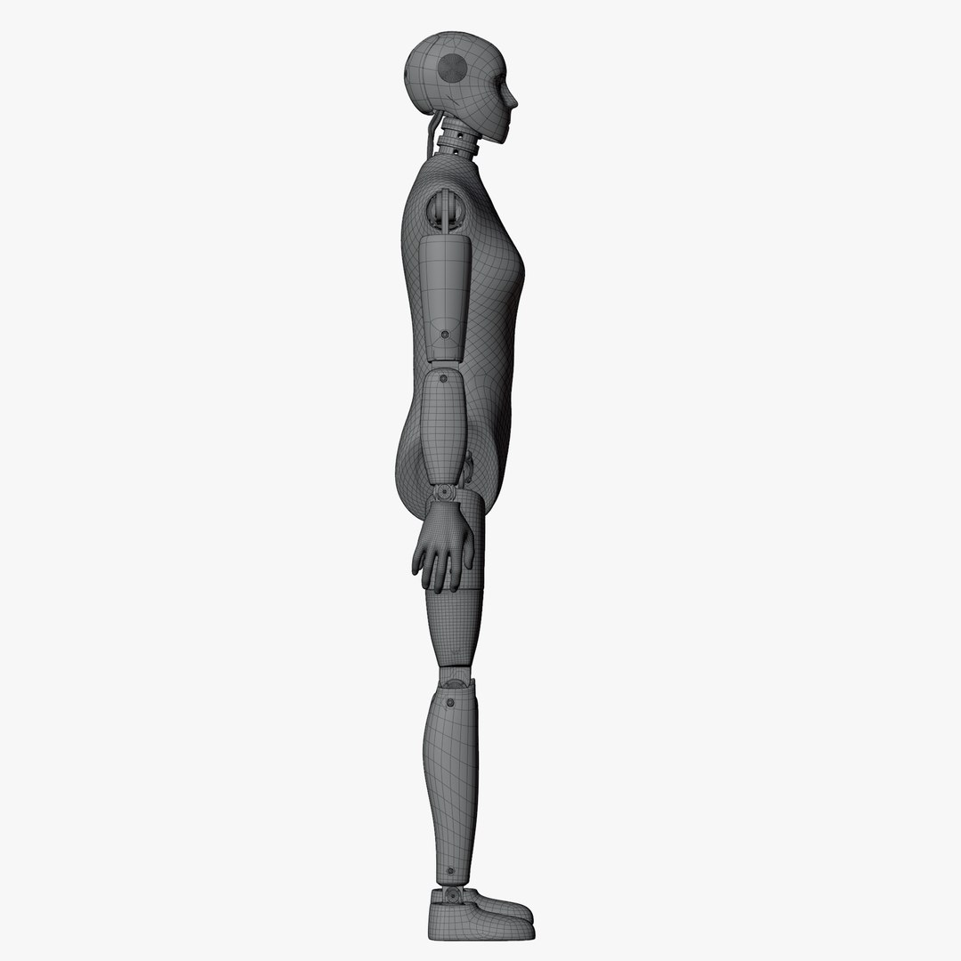 Crash Test Female Mannequin Model - TurboSquid 2192191