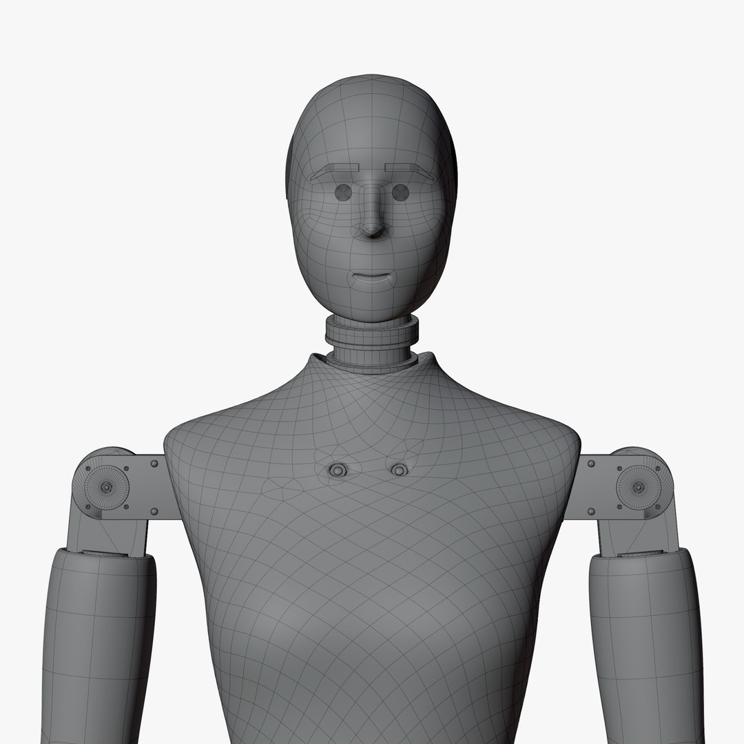 Crash Test Female Mannequin Model - TurboSquid 2192191