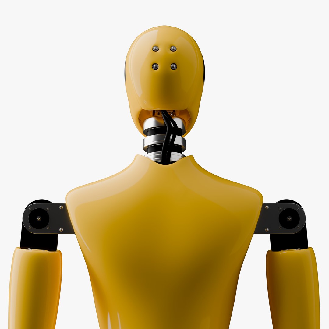 Crash Test Female Mannequin Model - TurboSquid 2192191