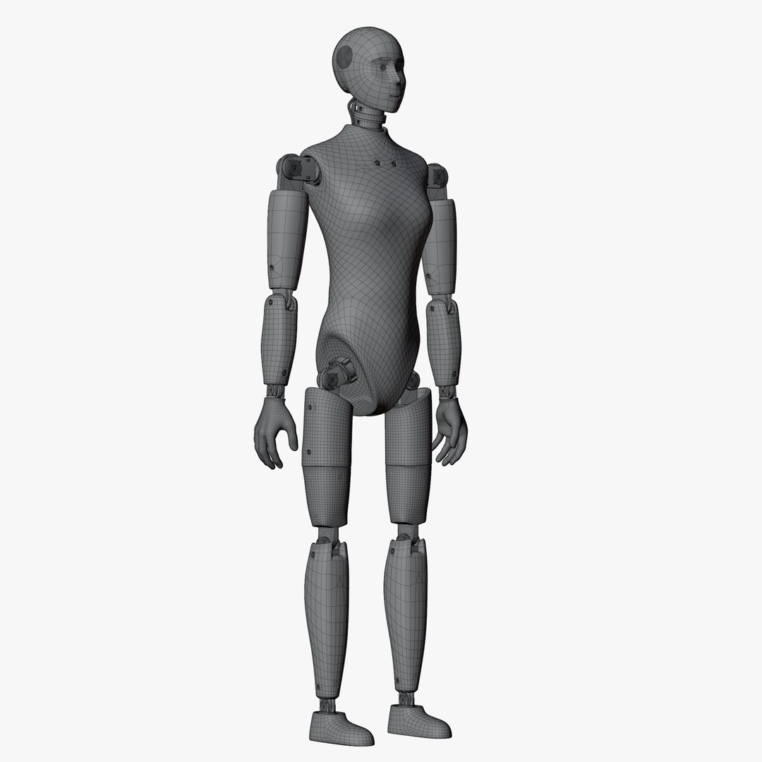 Crash Test Female Mannequin Model - TurboSquid 2192191