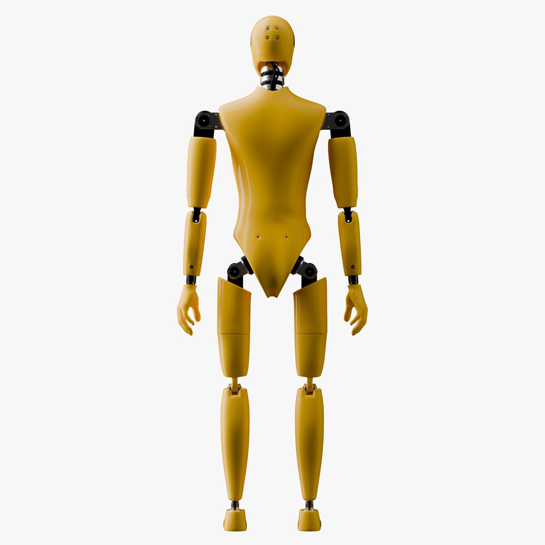 Crash Test Female Mannequin Model - TurboSquid 2192191