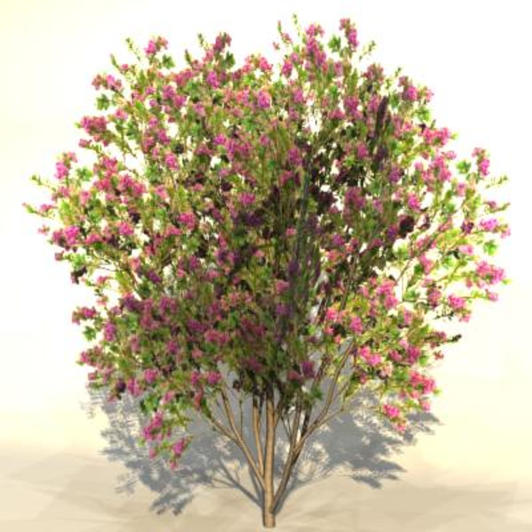 Pc Tree 3d Model