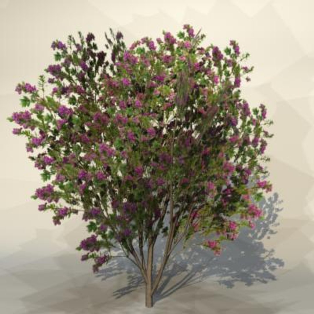 Pc Tree 3d Model