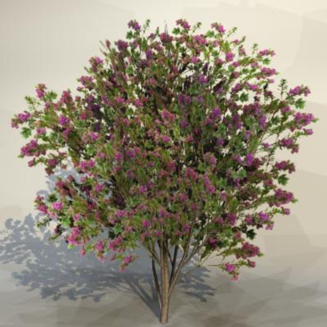 Pc Tree 3d Model