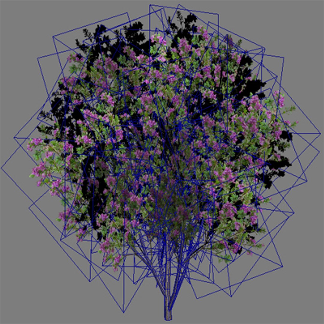 Pc Tree 3d Model