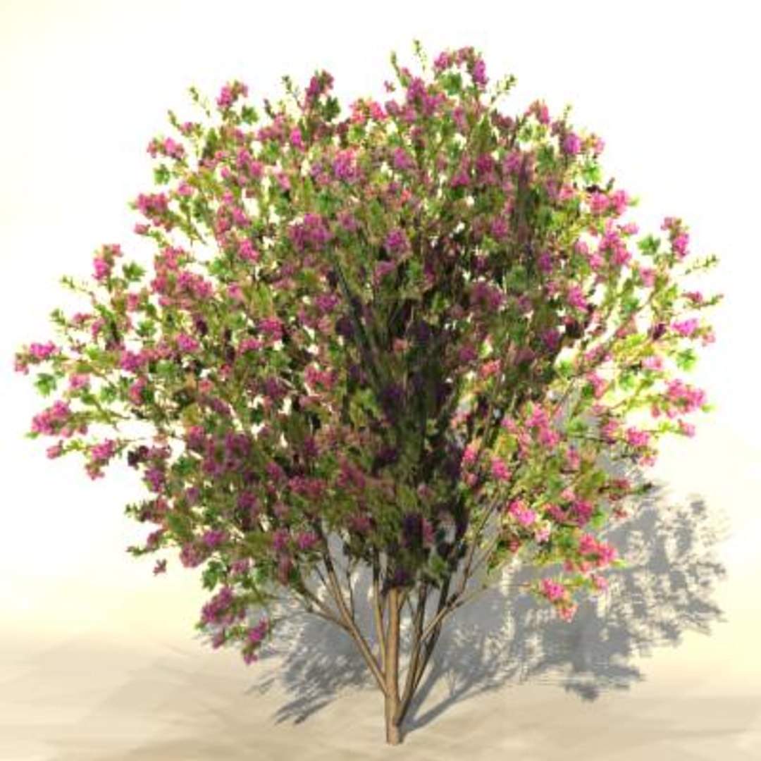 Pc Tree 3d Model