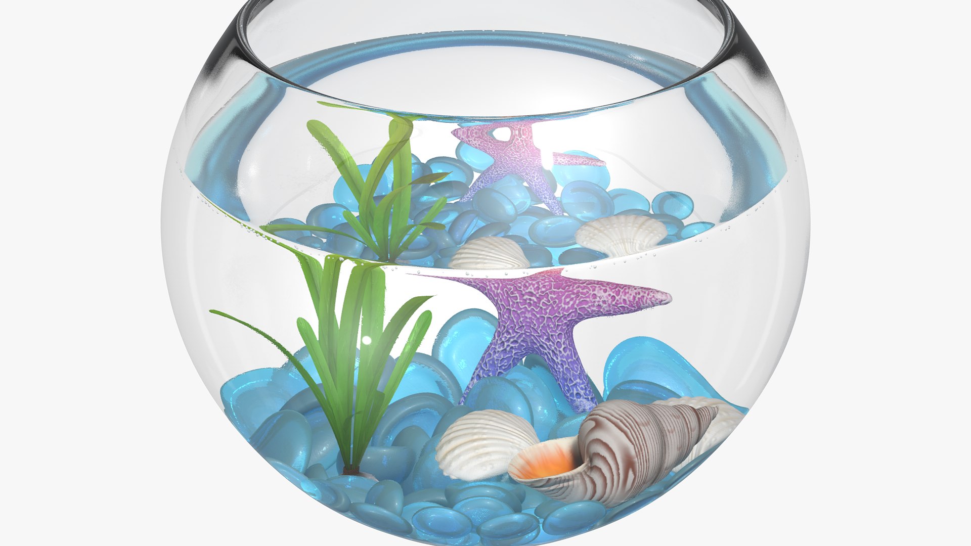 Fishbowl Glass For Goldfish Aquarium 8K 3D - TurboSquid 1863109