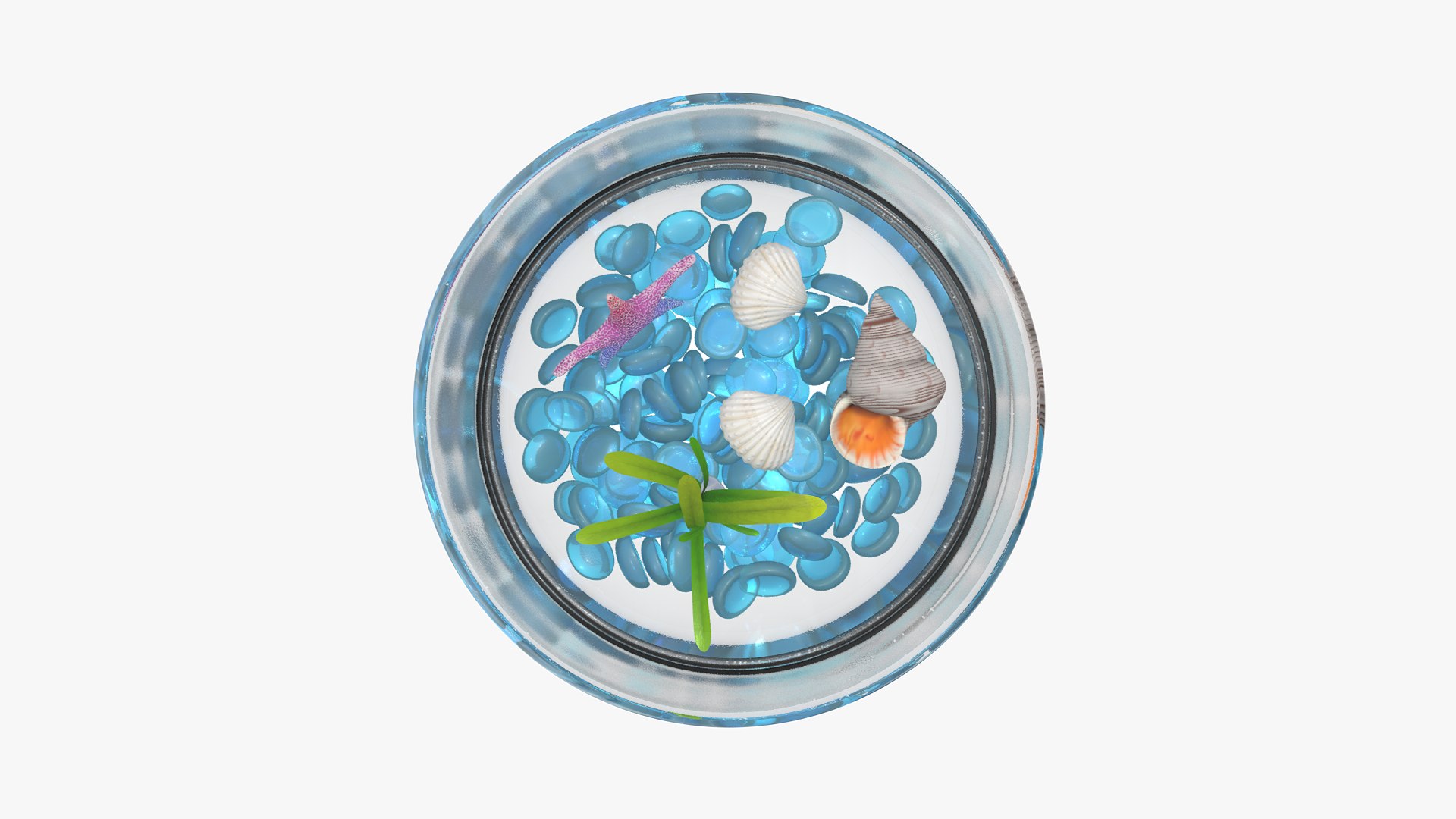 Fishbowl Glass For Goldfish Aquarium 8K 3D - TurboSquid 1863109