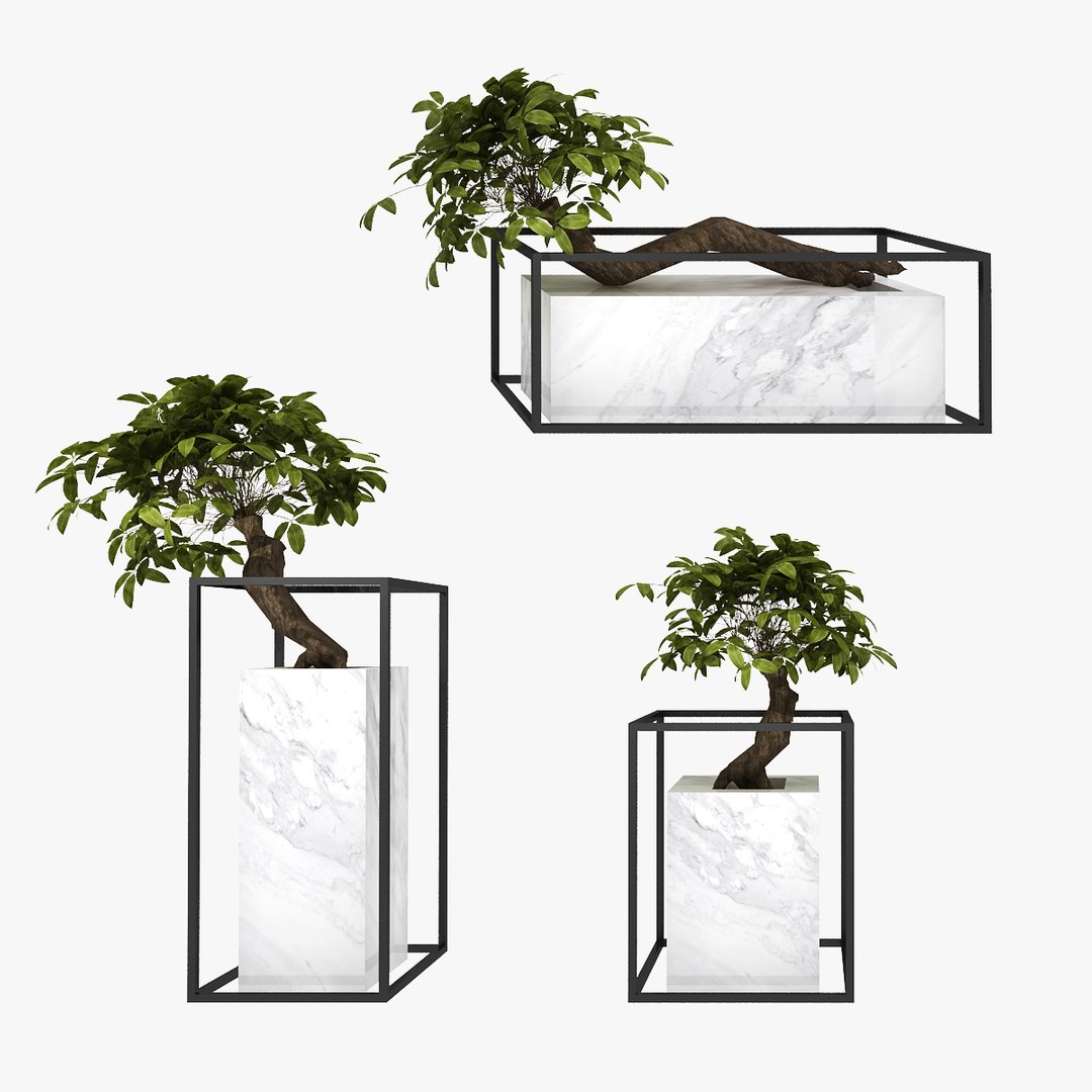 modelo 3d Collection plant - TurboSquid 2021792