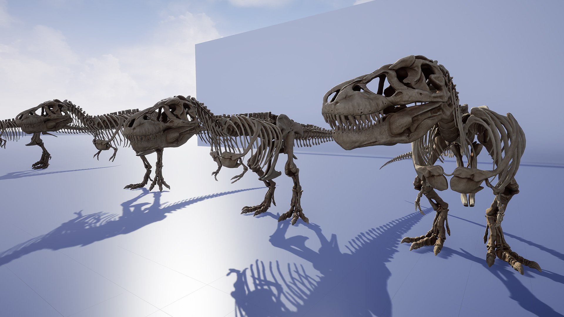 Trex Sue Skeleton Unreal Engine - Unity Projects 3D Model - TurboSquid ...