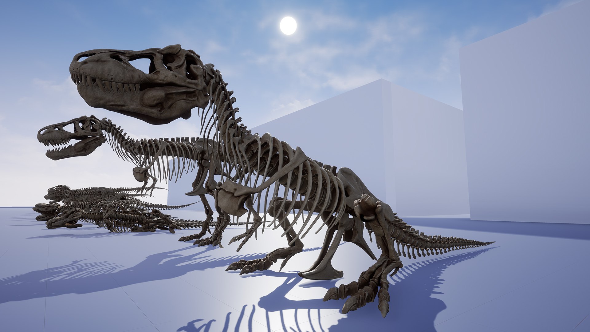 Trex Sue Skeleton Unreal Engine - Unity Projects 3D Model - TurboSquid ...