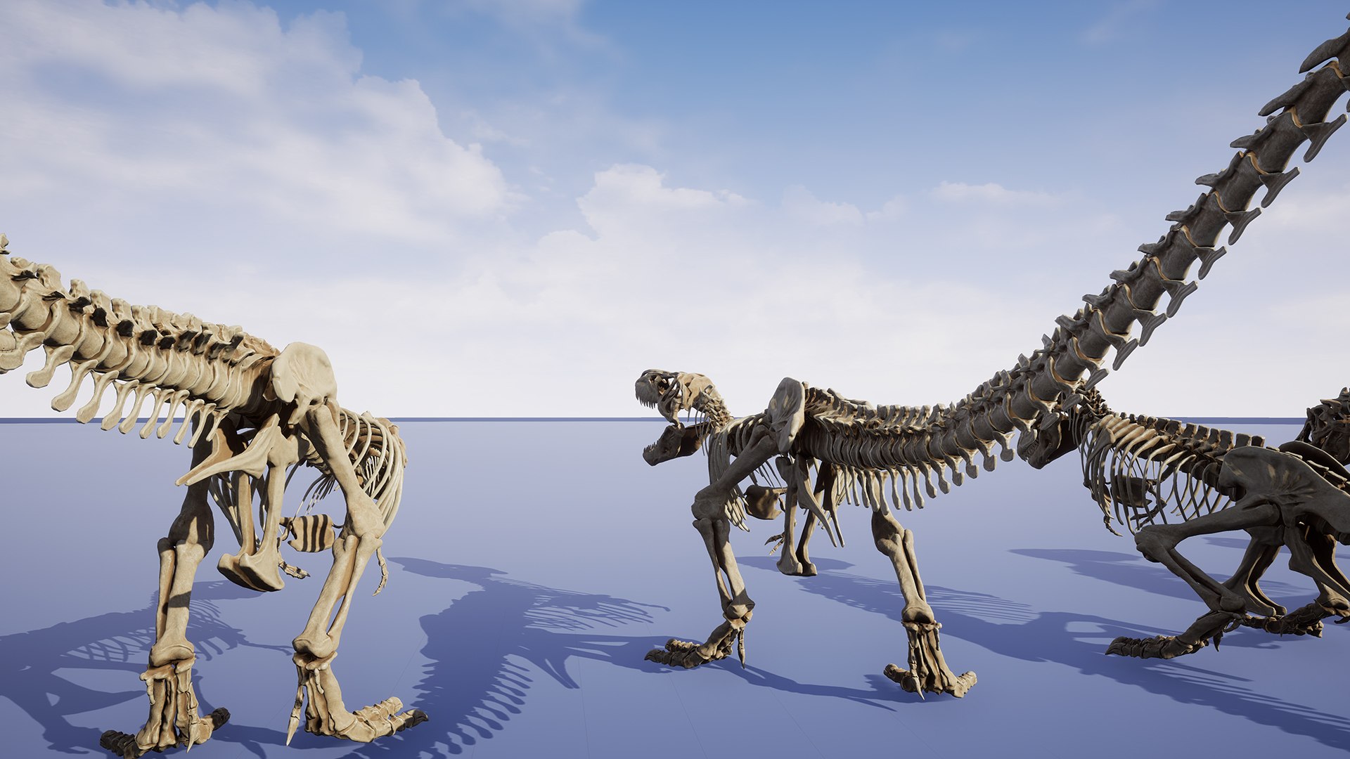 Trex Sue Skeleton Unreal Engine - Unity Projects 3D Model - TurboSquid ...