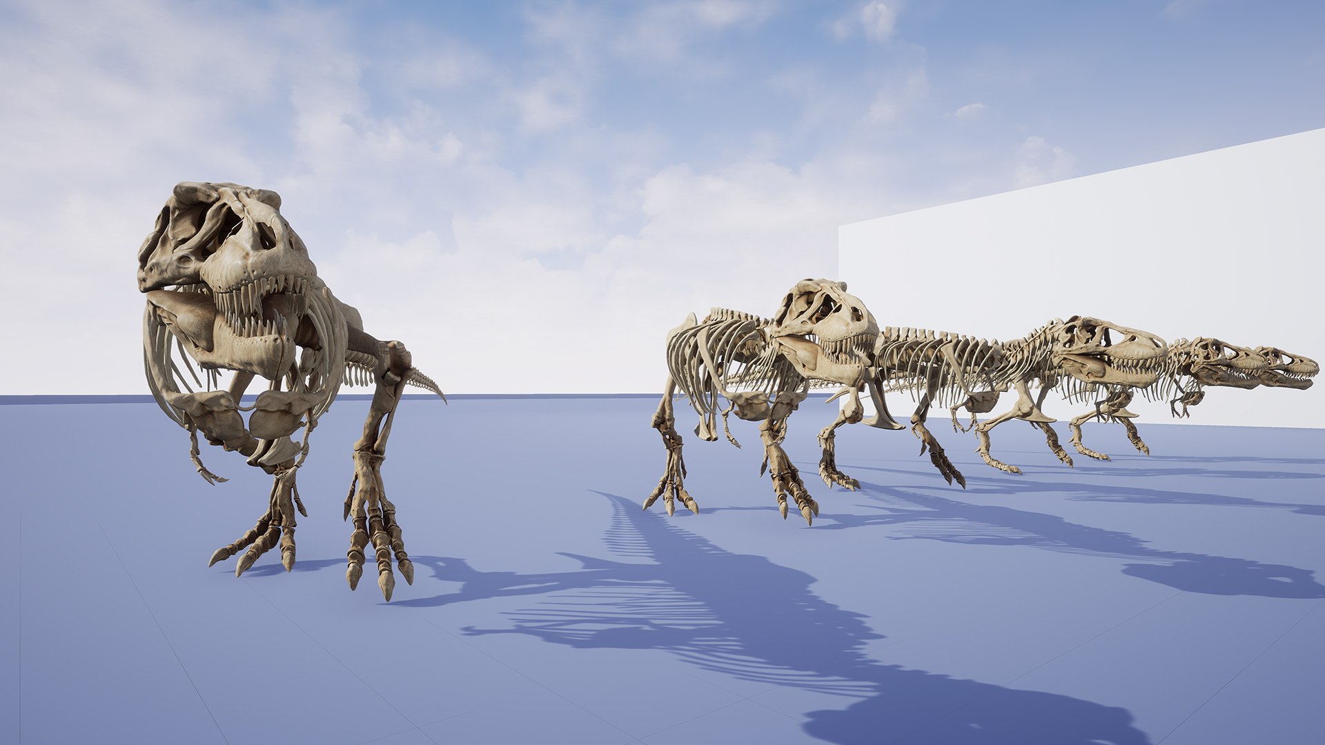 Trex Sue Skeleton Unreal Engine - Unity Projects 3D Model - TurboSquid ...