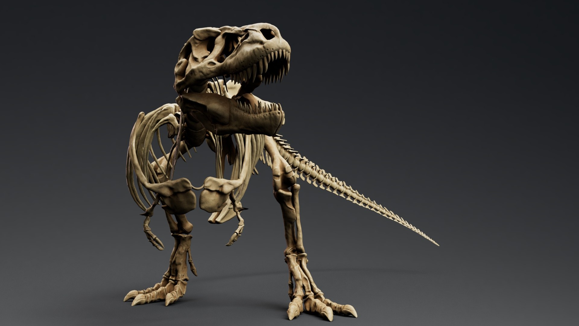 modelo 3d Trex Sue Skeleton Unreal Engine - Proyectos Unity ...