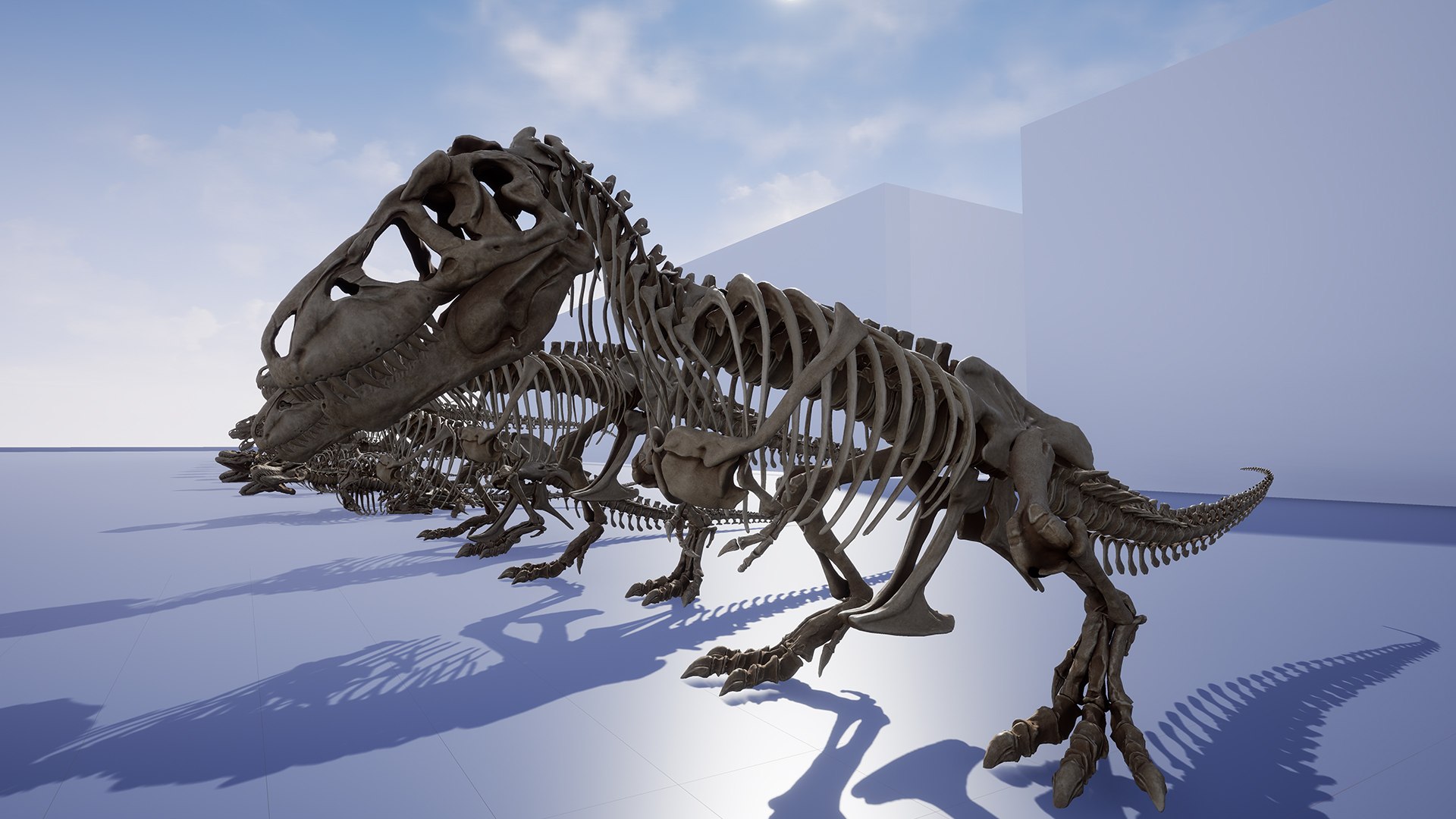 Trex Sue Skeleton Unreal Engine - Unity Projects 3D Model - TurboSquid 2202266