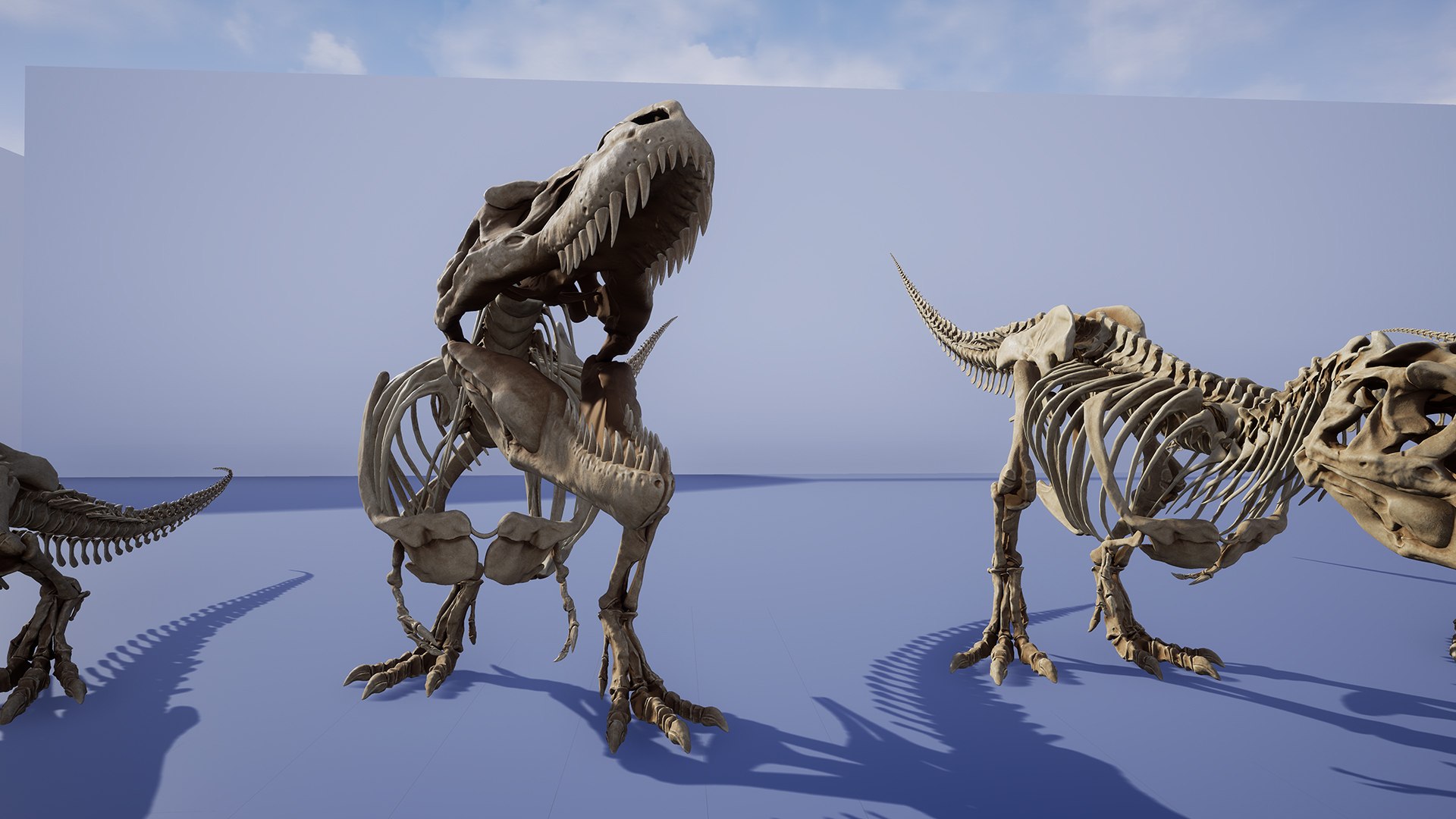 Trex Sue Skeleton Unreal Engine - Unity Projects 3D Model - TurboSquid 2202266