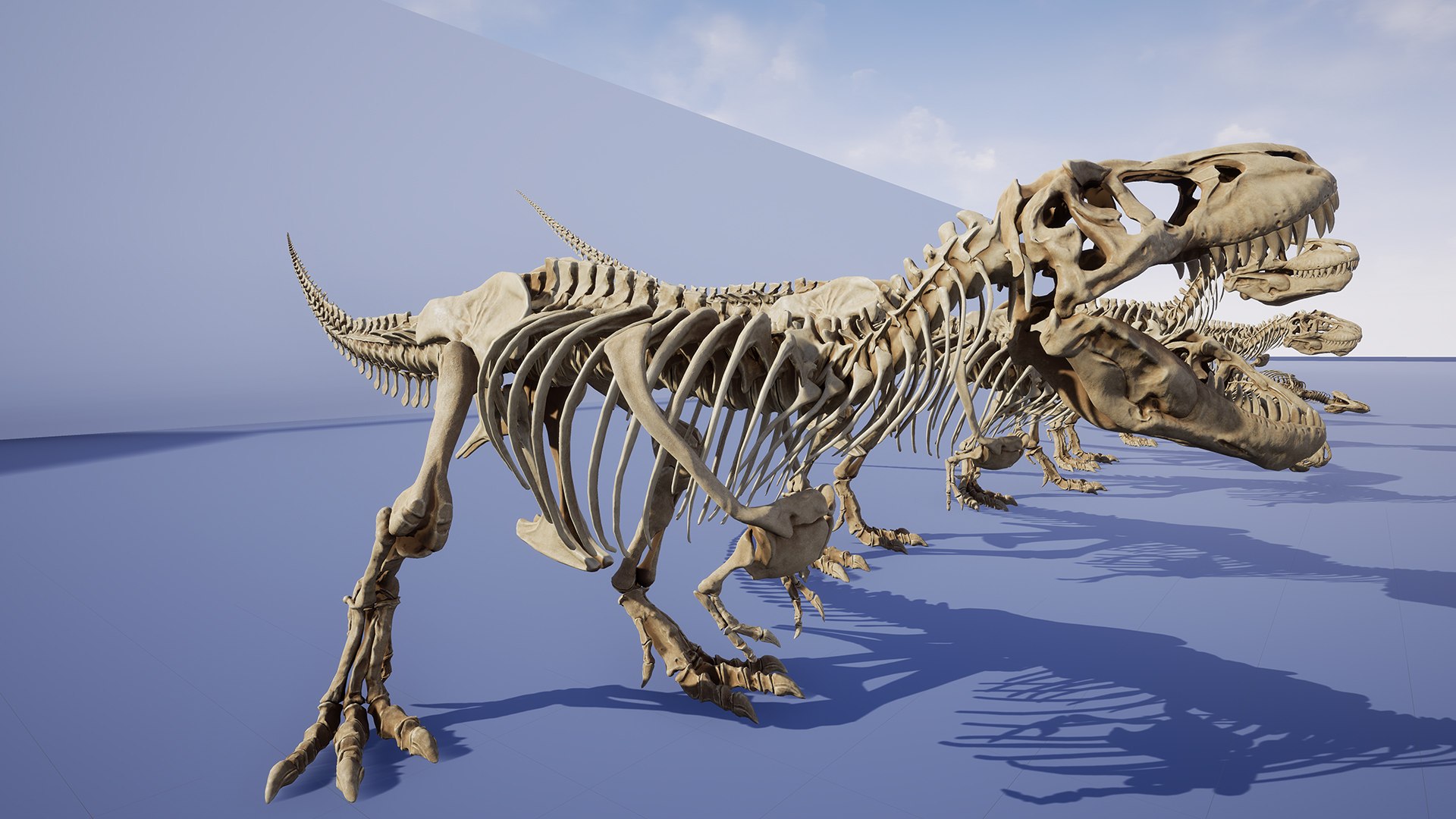 Trex Sue Skeleton Unreal Engine - Unity Projects 3D Model - TurboSquid ...