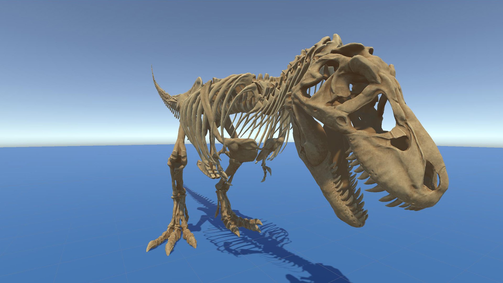 Trex Sue Skeleton Unreal Engine - Unity Projects 3D Model - TurboSquid ...