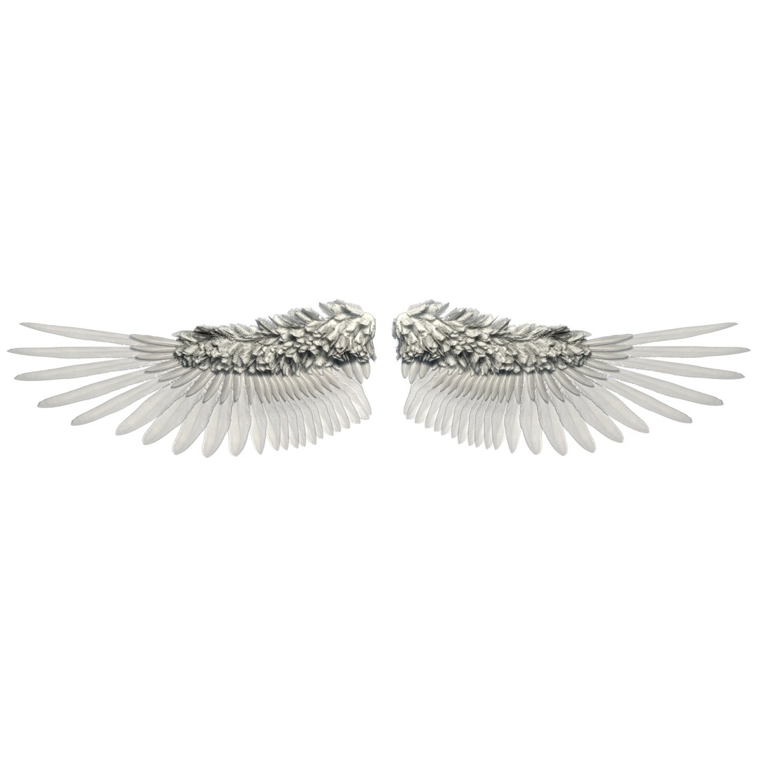 3D Realistic Angel Wings - TurboSquid 1565911