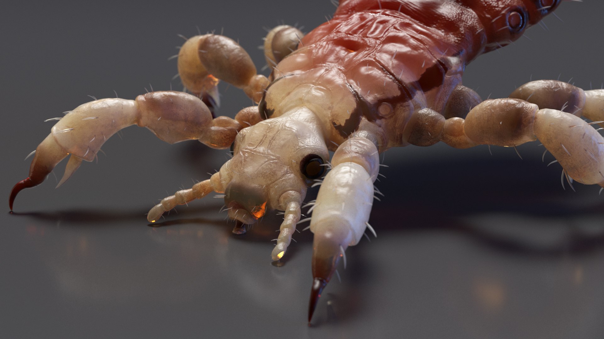 3D Parasitic Insect Louse With Blood Rigged For Maya - TurboSquid 2341326