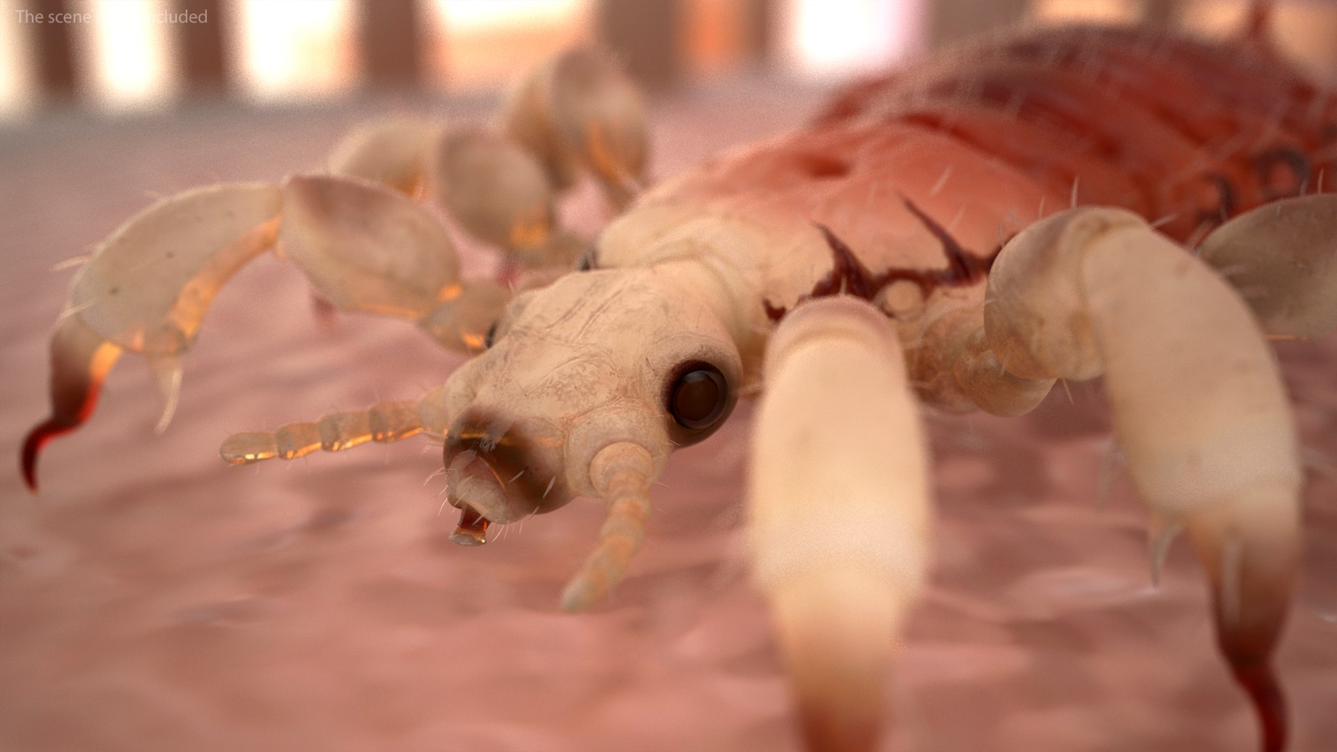 3D Parasitic Insect Louse With Blood Rigged For Maya - TurboSquid 2341326