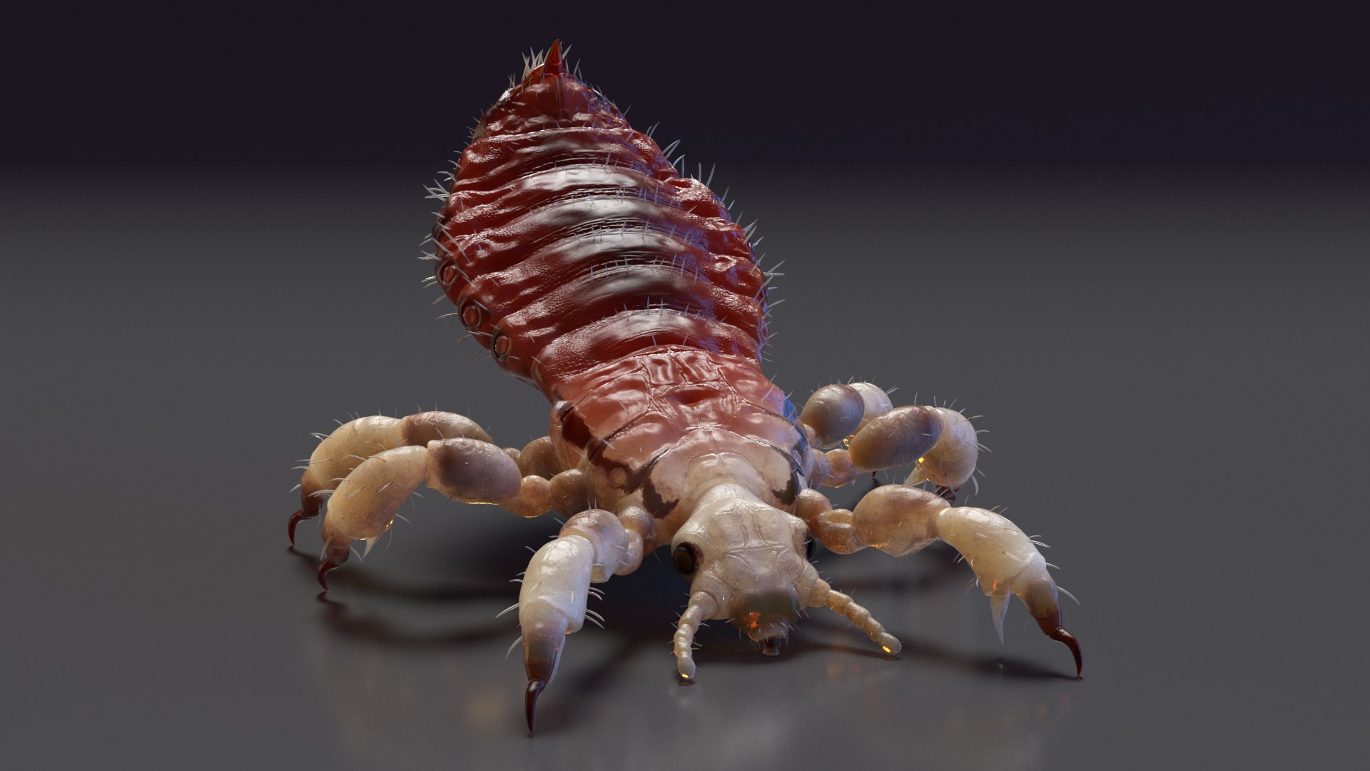 3D Parasitic Insect Louse With Blood Rigged For Maya - TurboSquid 2341326