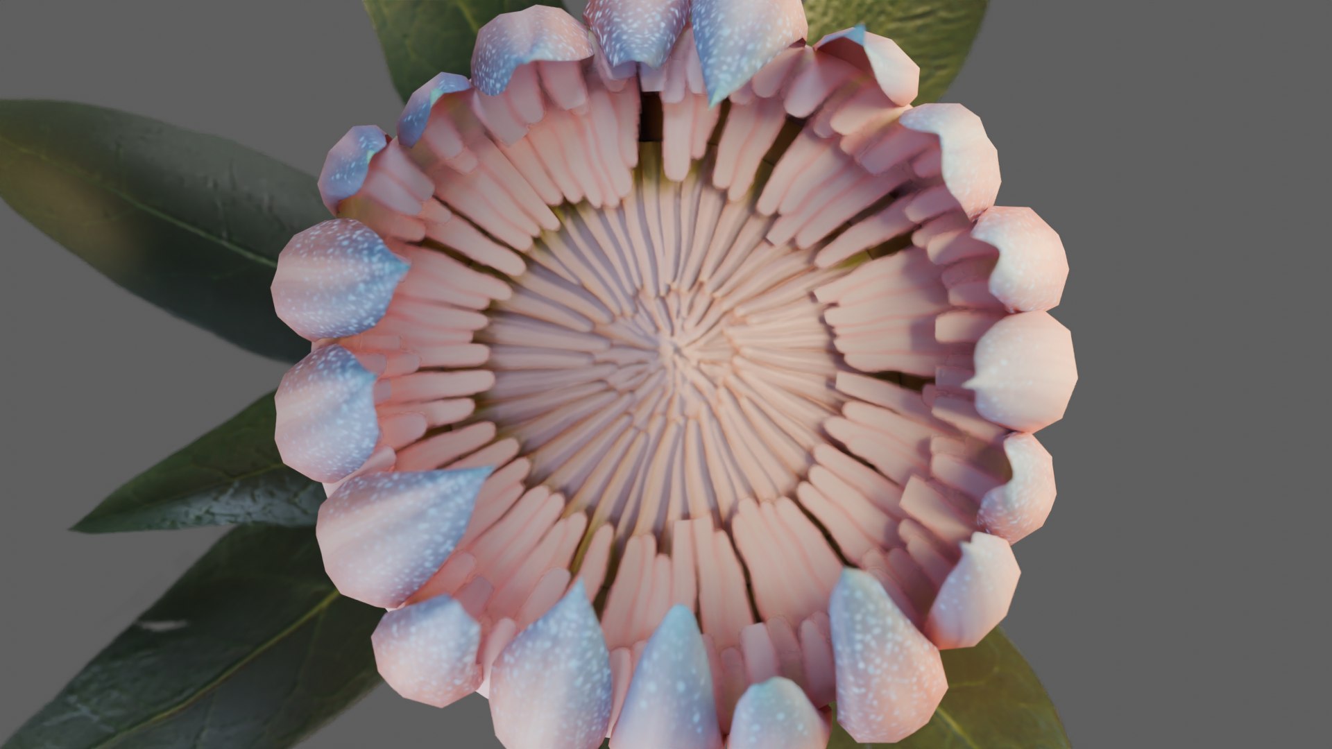 3D Flower Low Poly PBR Protea Model - TurboSquid 2220283