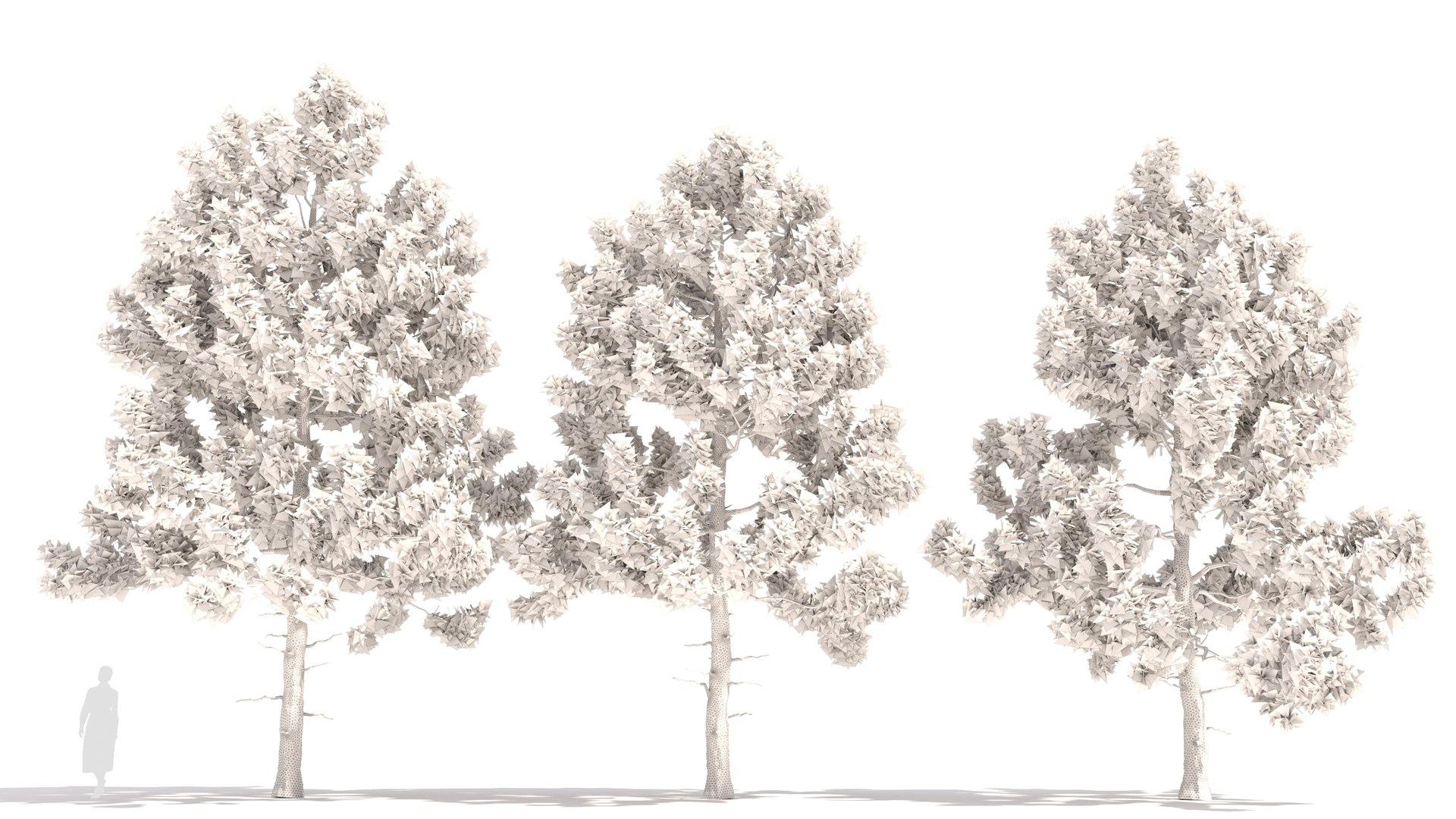 3D Pinus Tree Model - TurboSquid 2057845