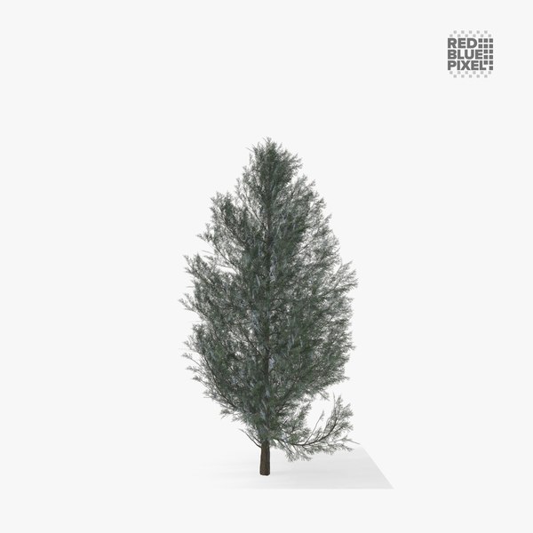 modelo 3d Árbol de tamarix - TurboSquid 2430813